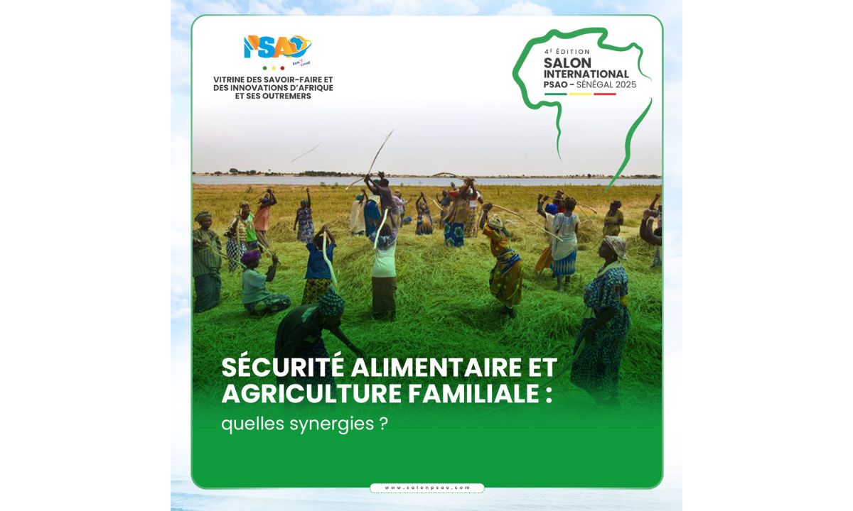 Faim d’indépendance : L’Afrique face à l’enjeu alimentaire - PSAO ...
