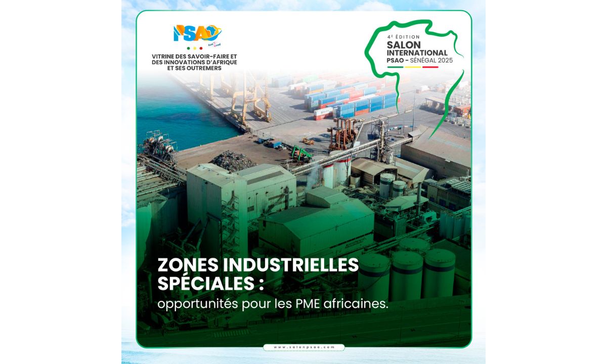 Industrialisation de l’Afrique - Bâtir la souveraineté par les zones ...